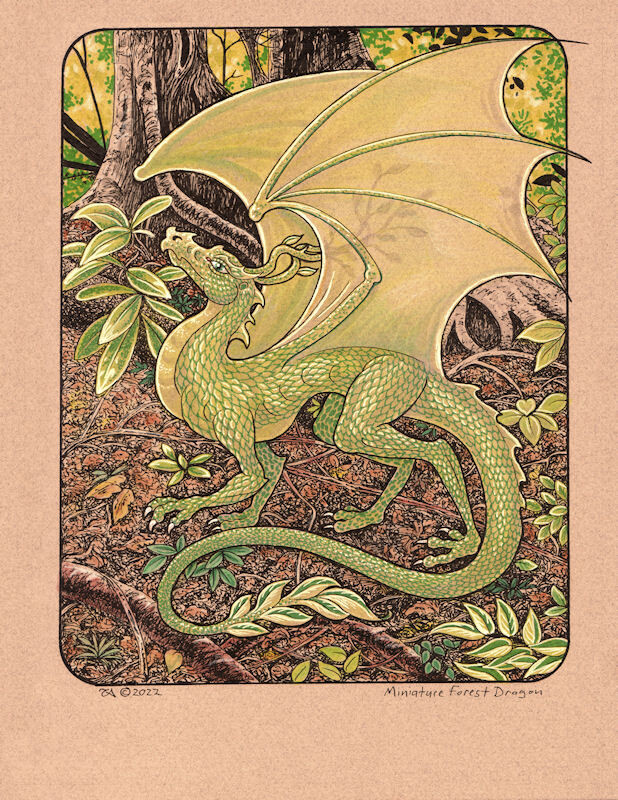 Miniature Forest Dragon by Tristan Alexander : r/AdorableDragons