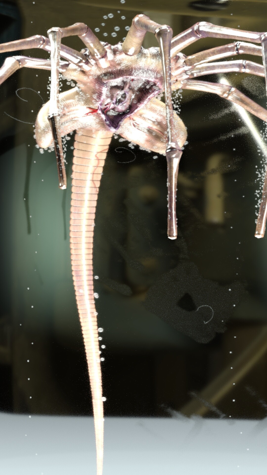 Giant Sea Spider Facehugger