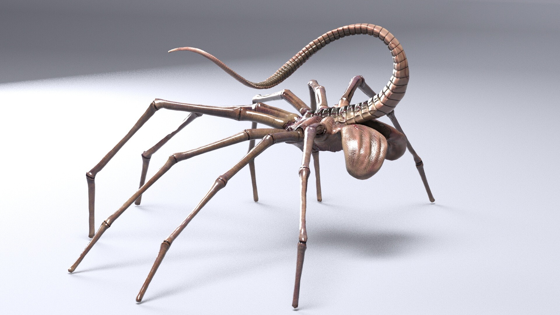 Giant Sea Spider Facehugger