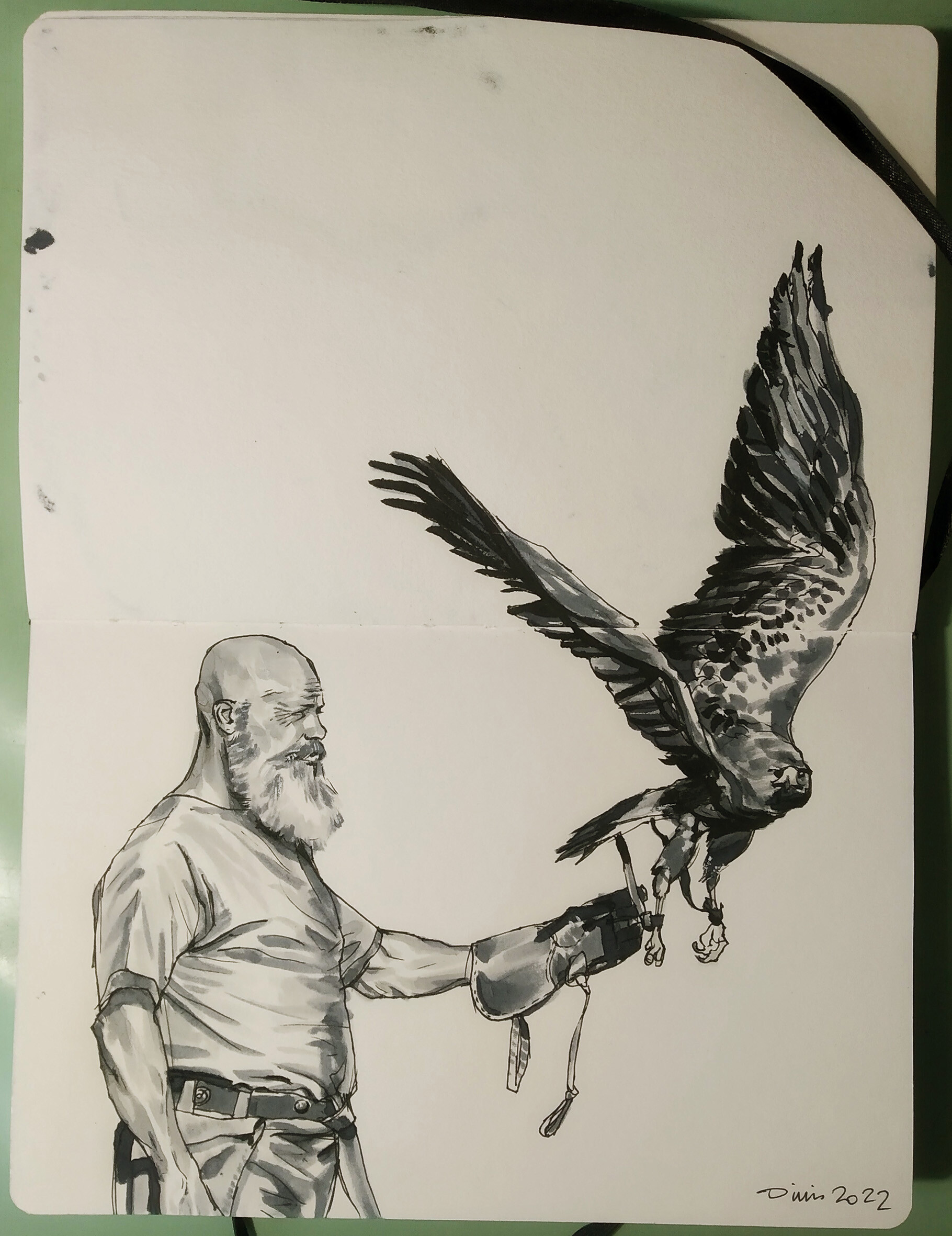 ArtStation - Falconry