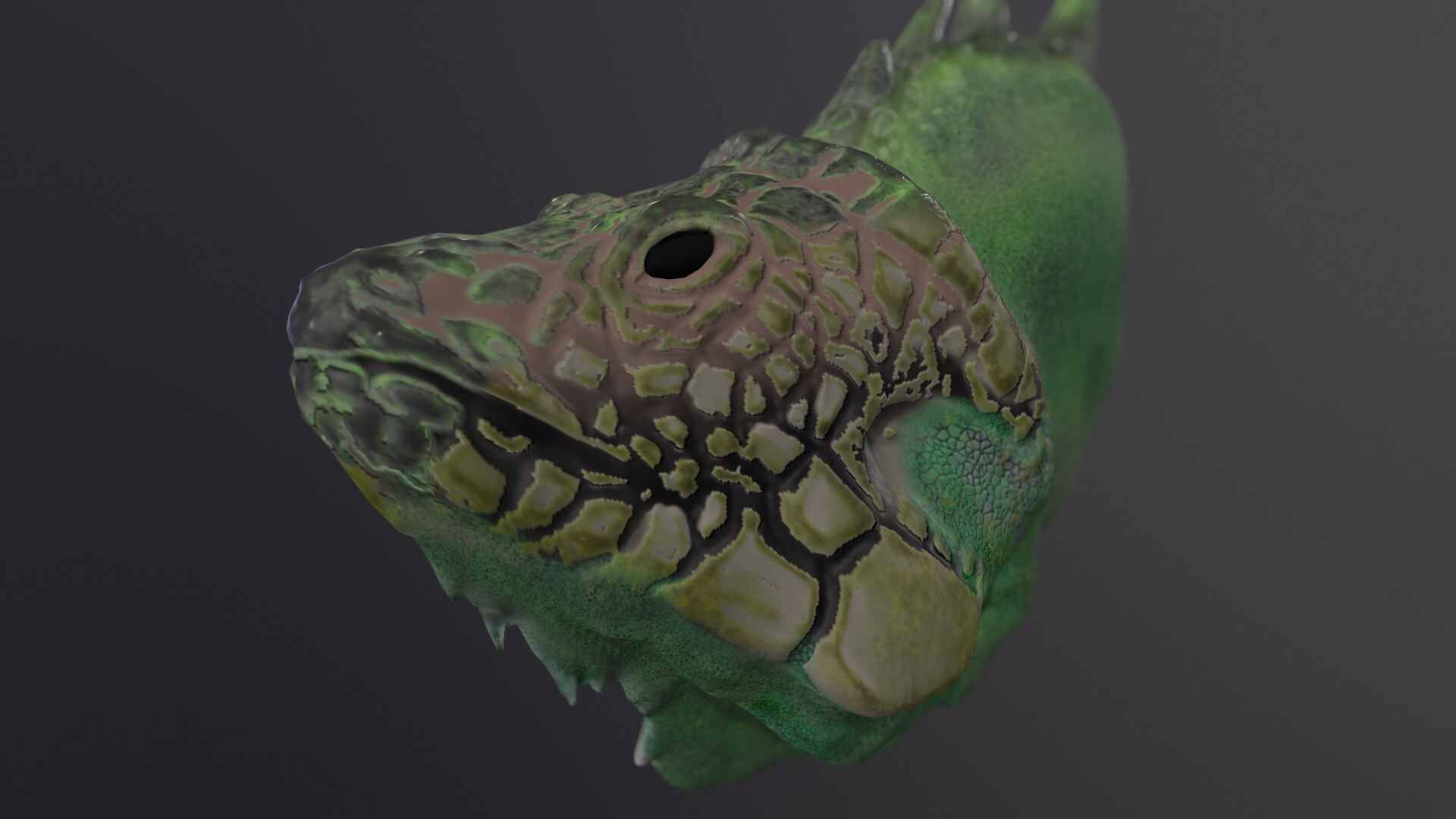 ArtStation - Study art: Iguana head