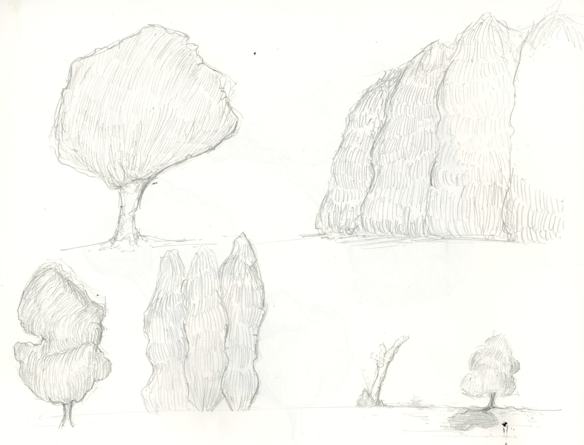 ArtStation - Trees Concept