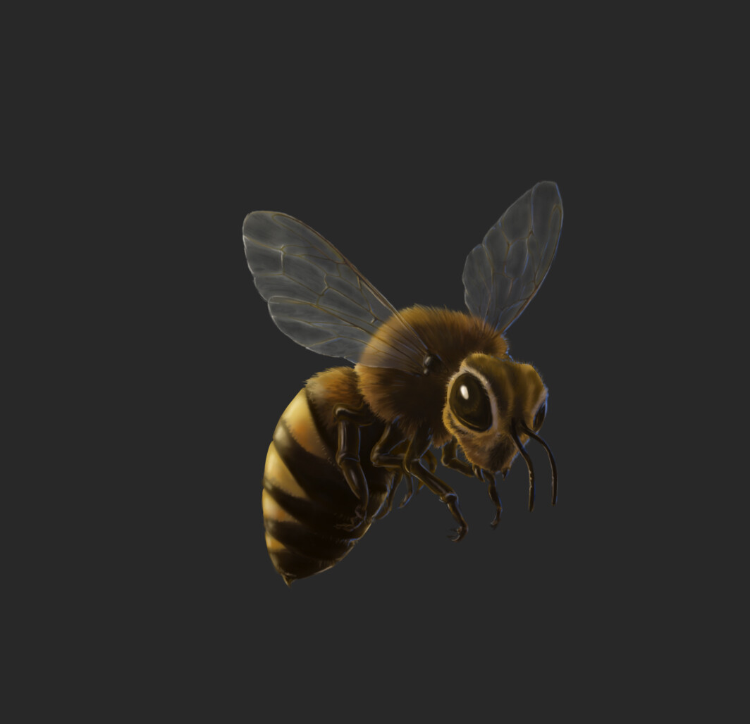 ArtStation - Angry bee