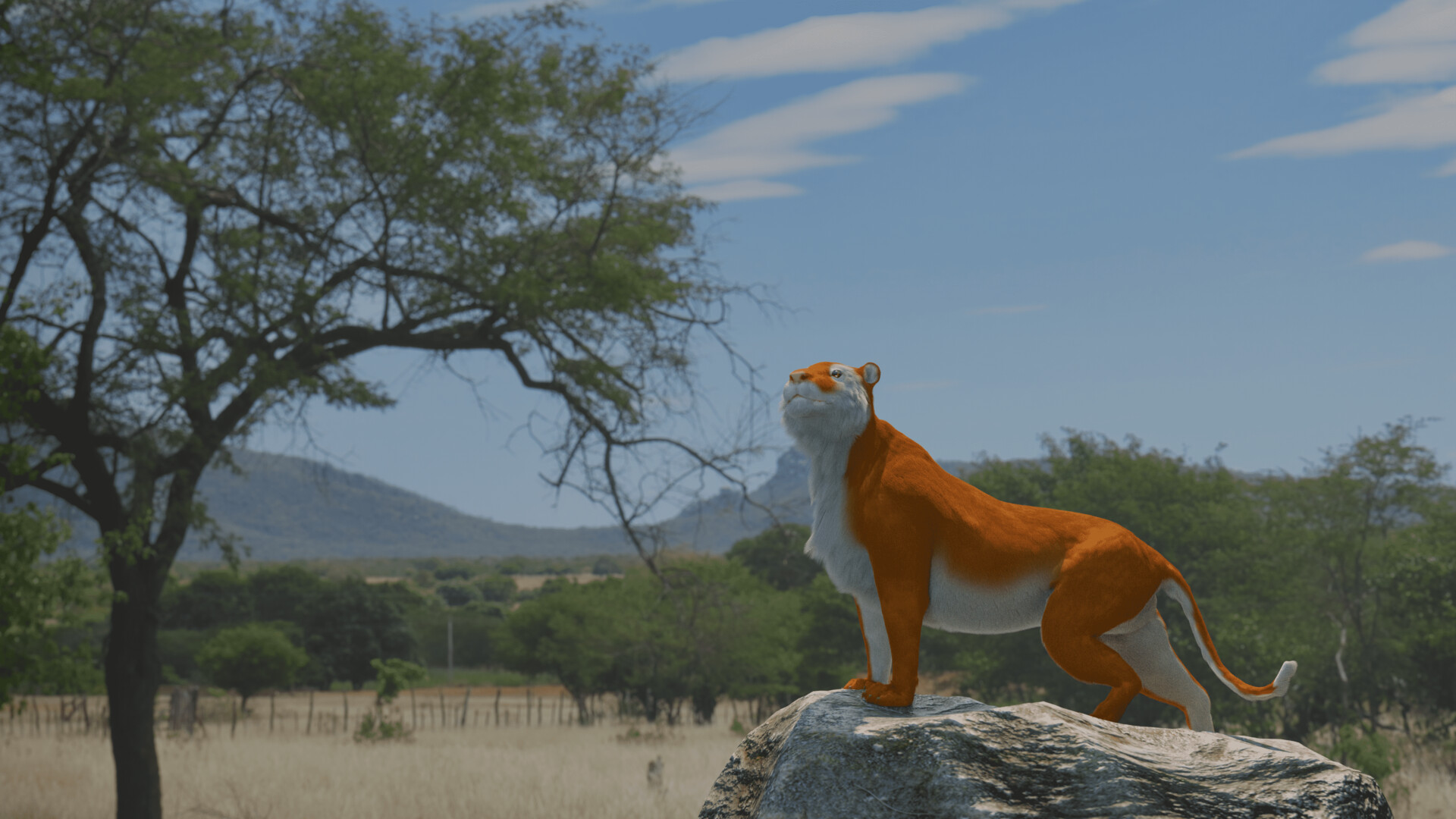 ArtStation - Big Cat