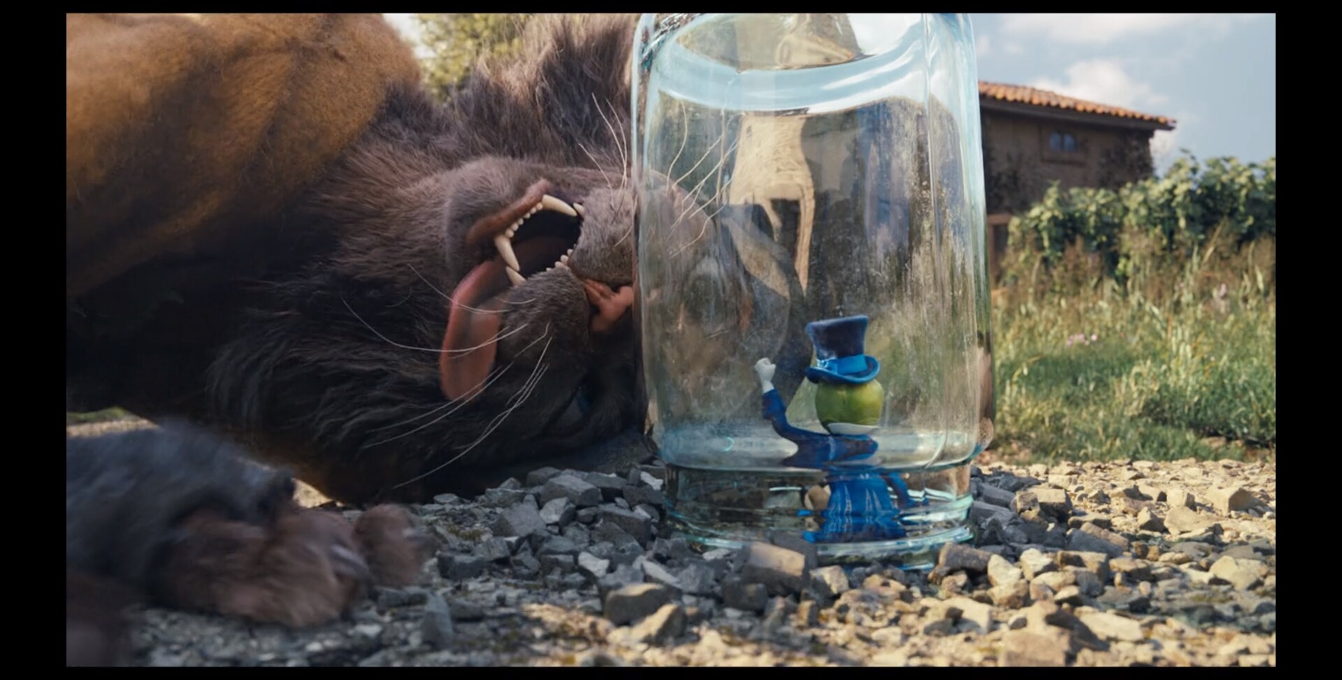 Marcos Silva - "Pinocchio" School Sequence