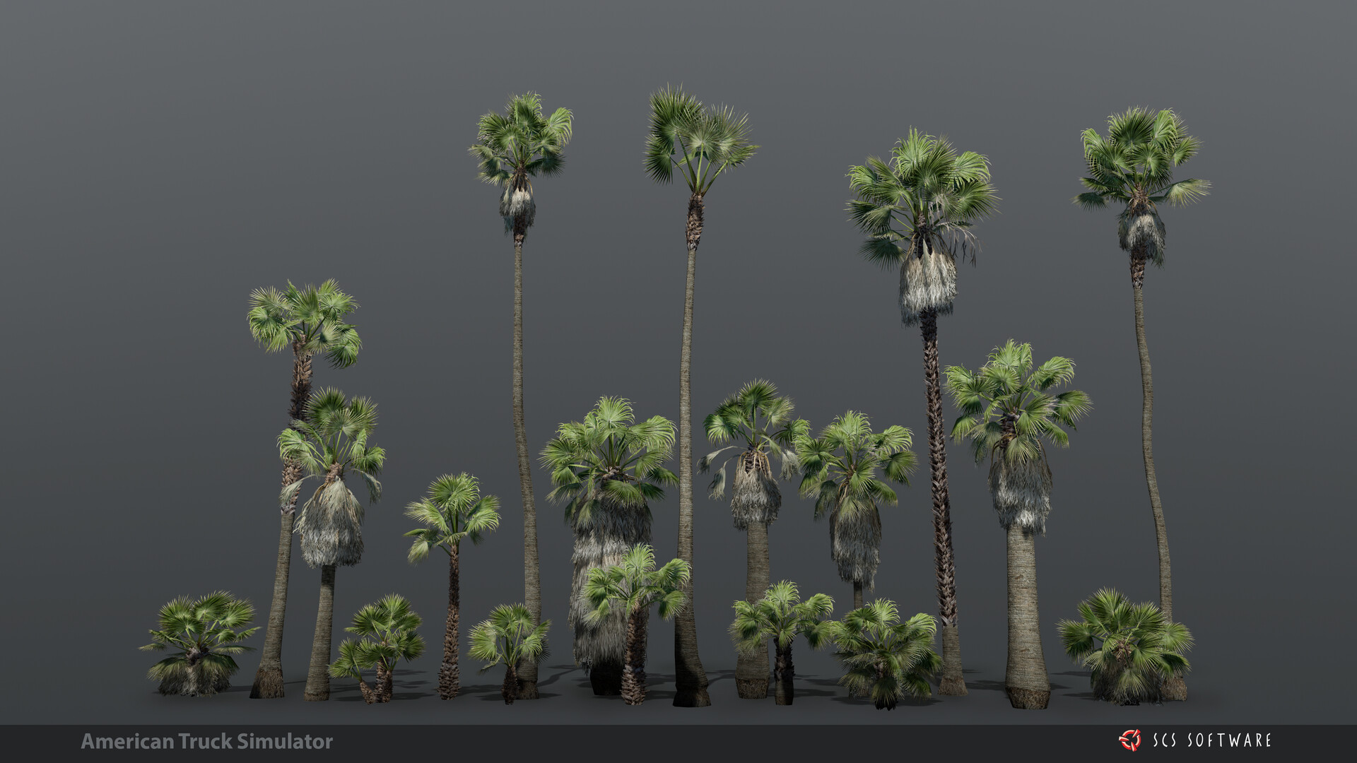 ArtStation - Low-polygonal game vegetation: Washingtonia palms