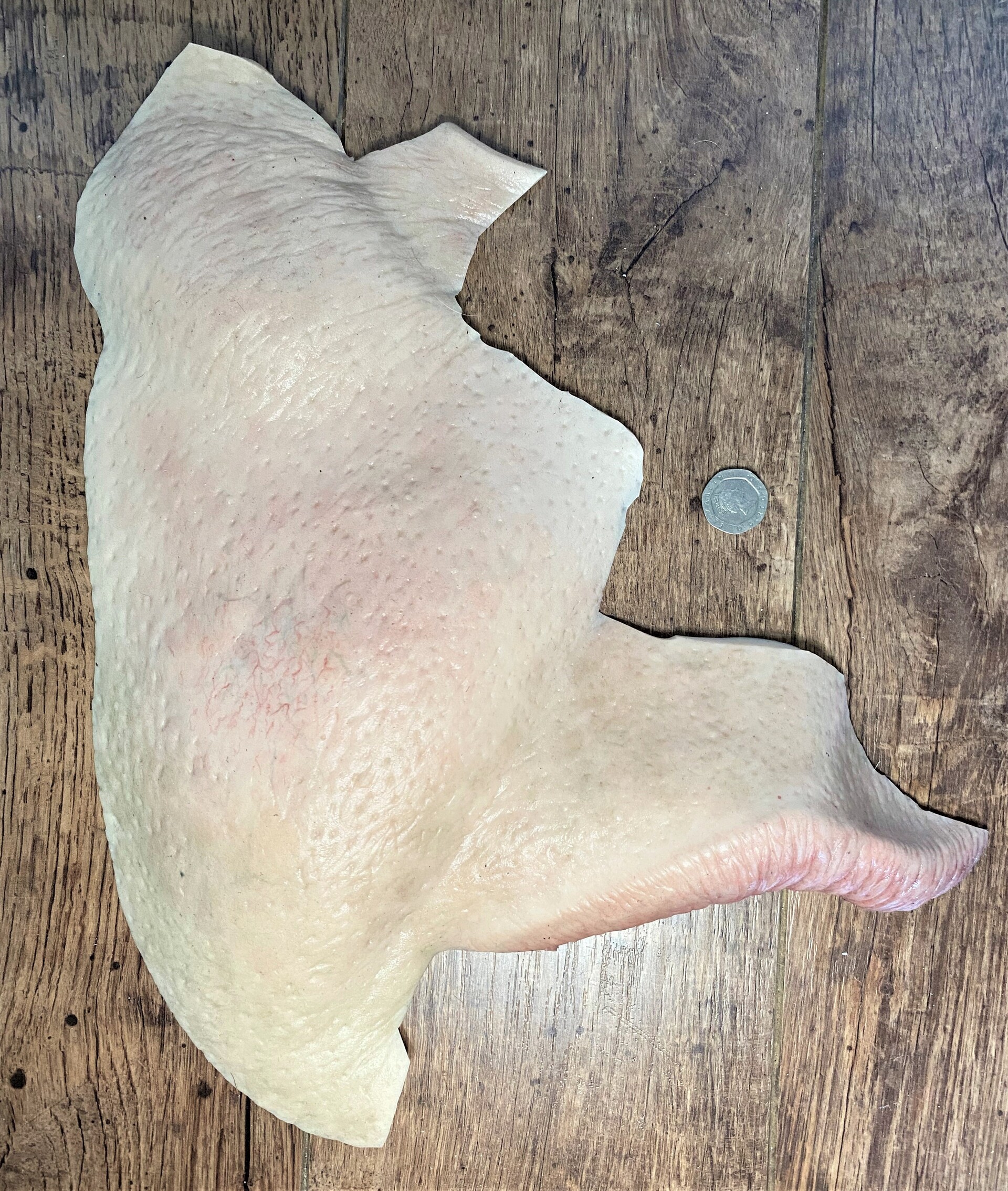 ArtStation - Cheek of Grawp