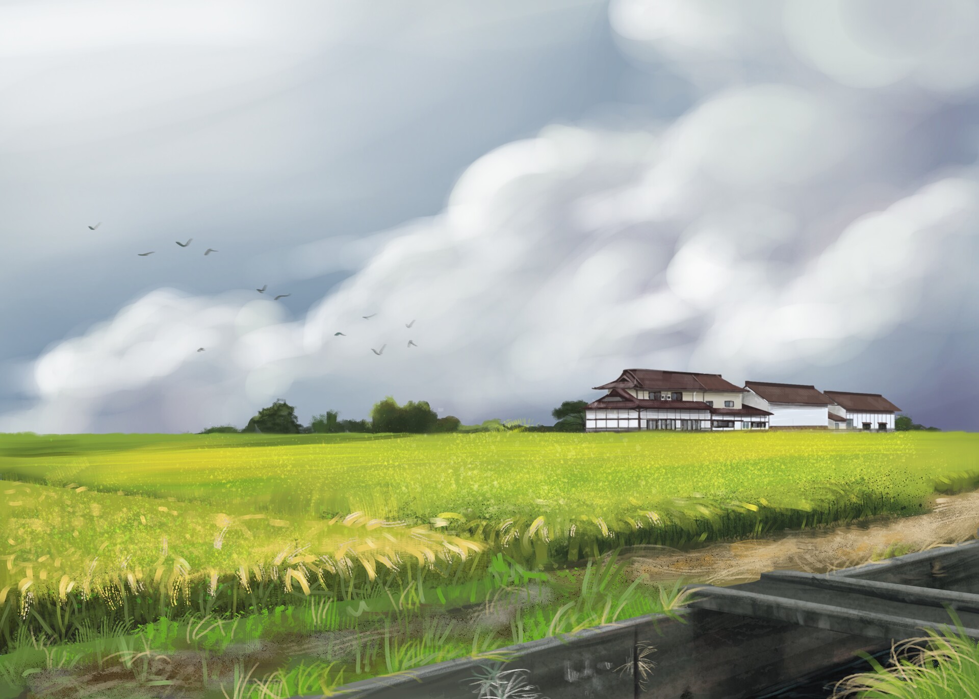 ArtStation - Tanbo (Rice Fields)