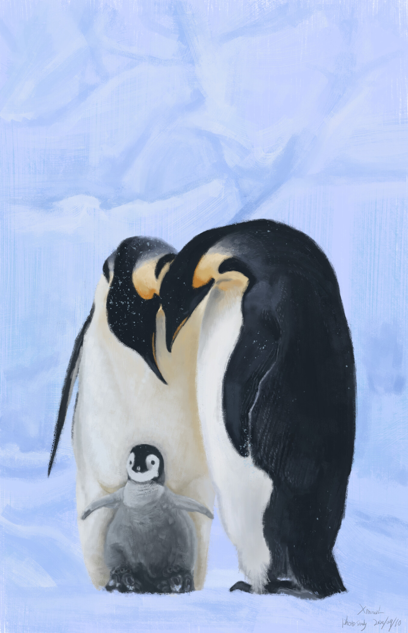 ArtStation - Emperor Penguin, Photo Study