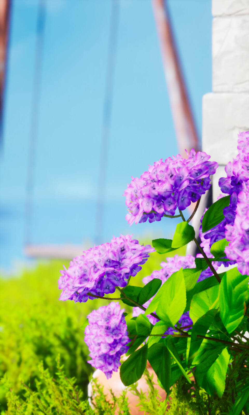 Pascal Muller - Feather