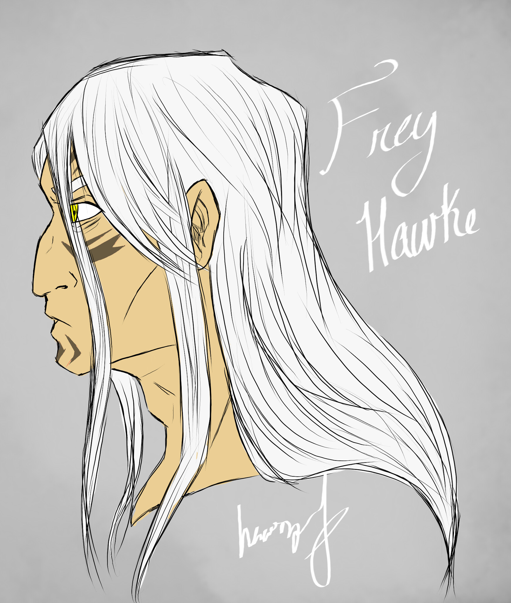 ArtStation - DA Art: DA2 Protag Profile