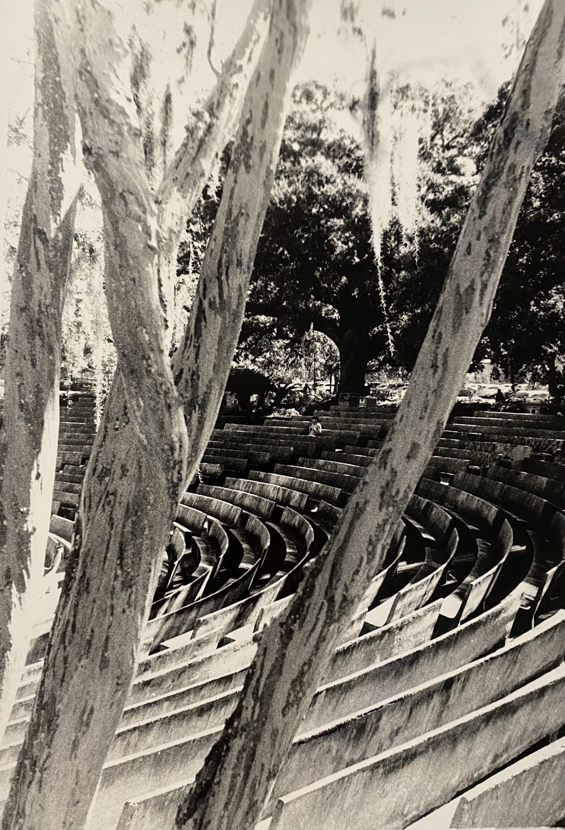 ArtStation - Amphitheater