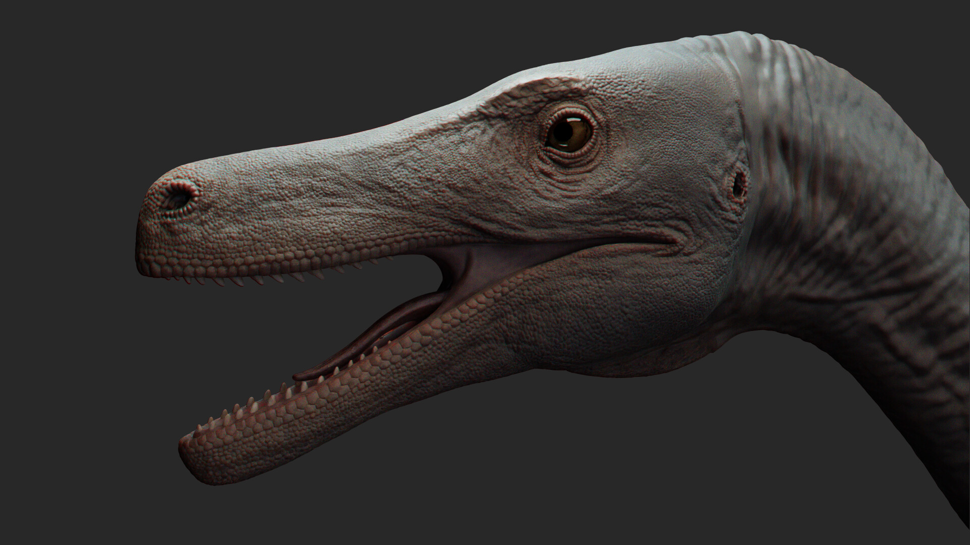 Ayla McIntyre - Adasaurus