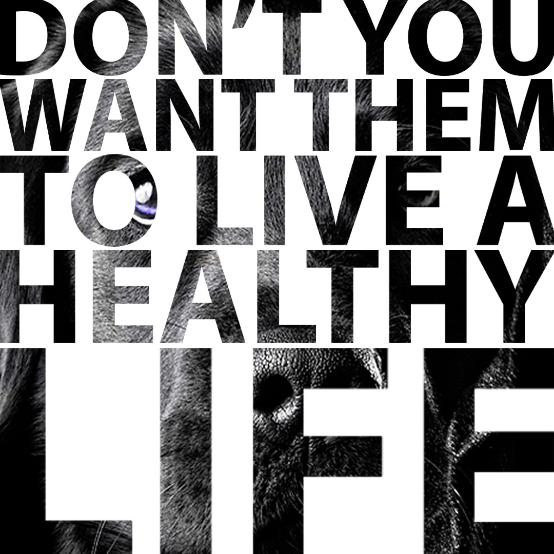 Lewis humble - Don't you want them to live a healthy life?