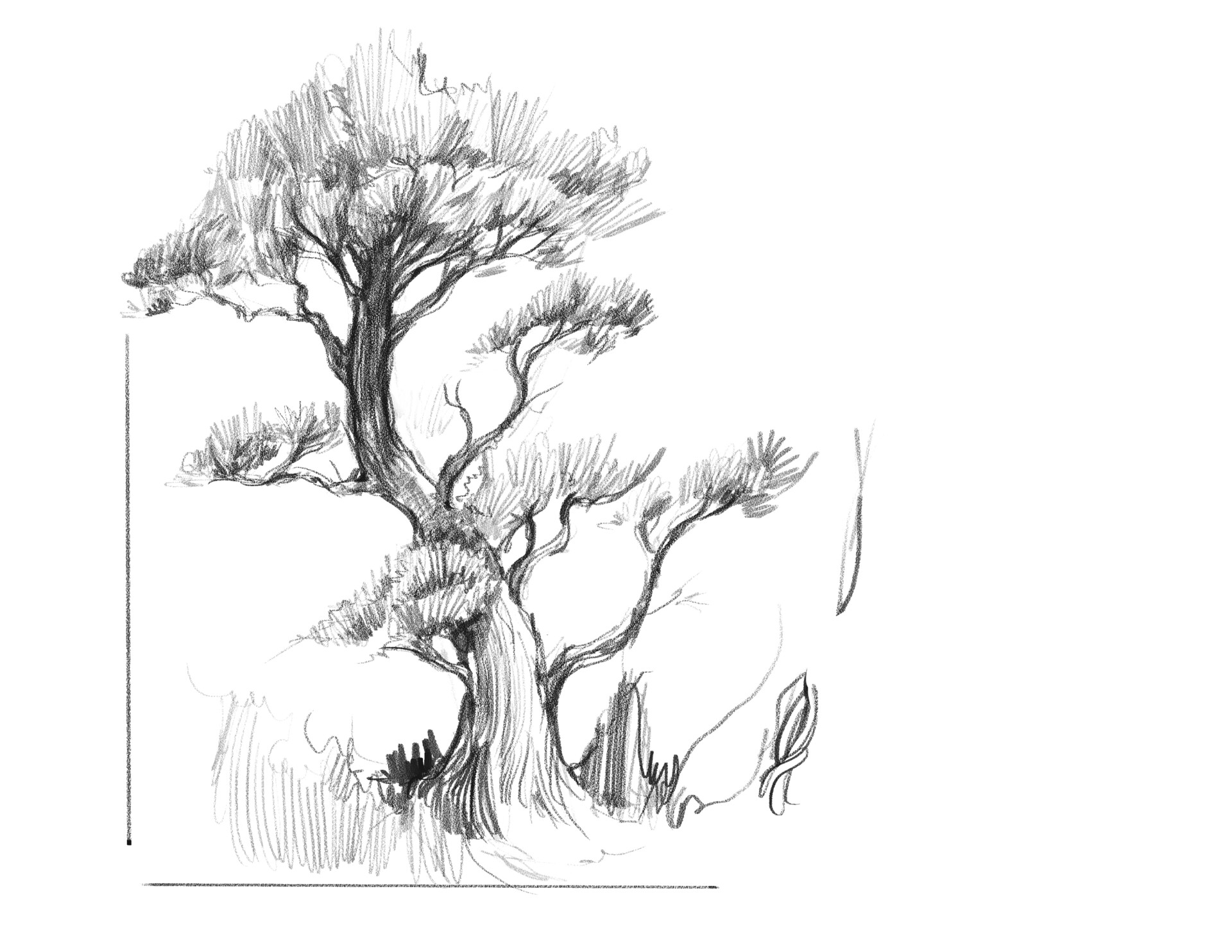 ArtStation - Tree- value study 2
