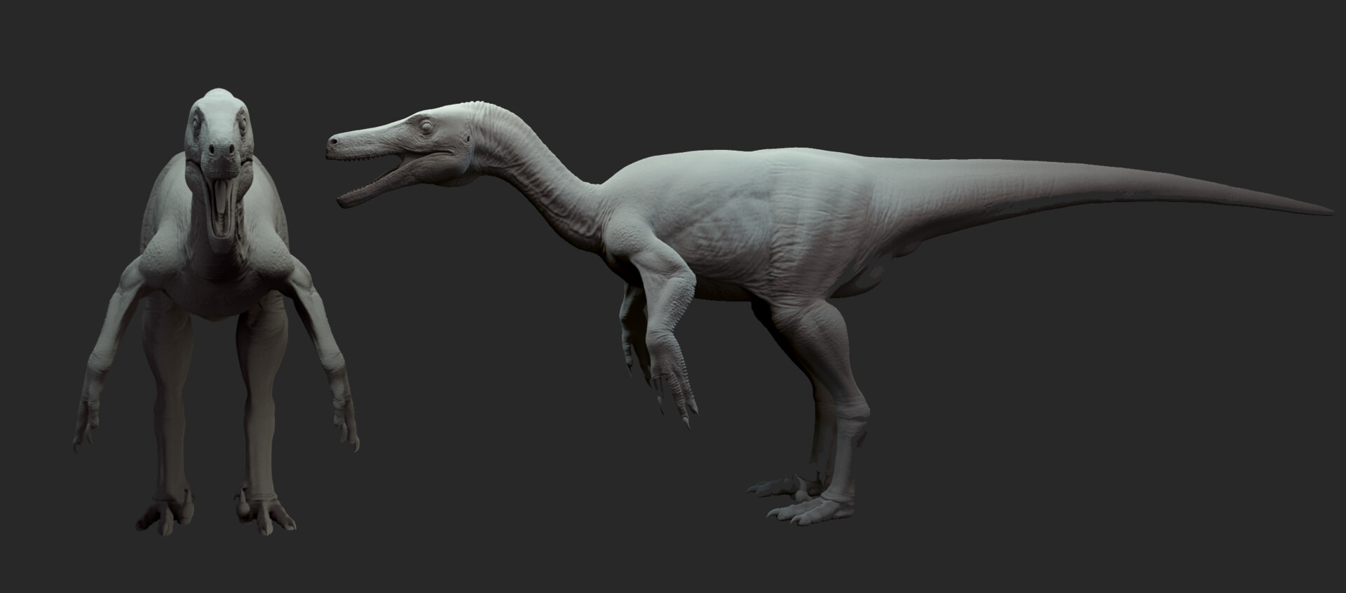 Ayla McIntyre - Adasaurus