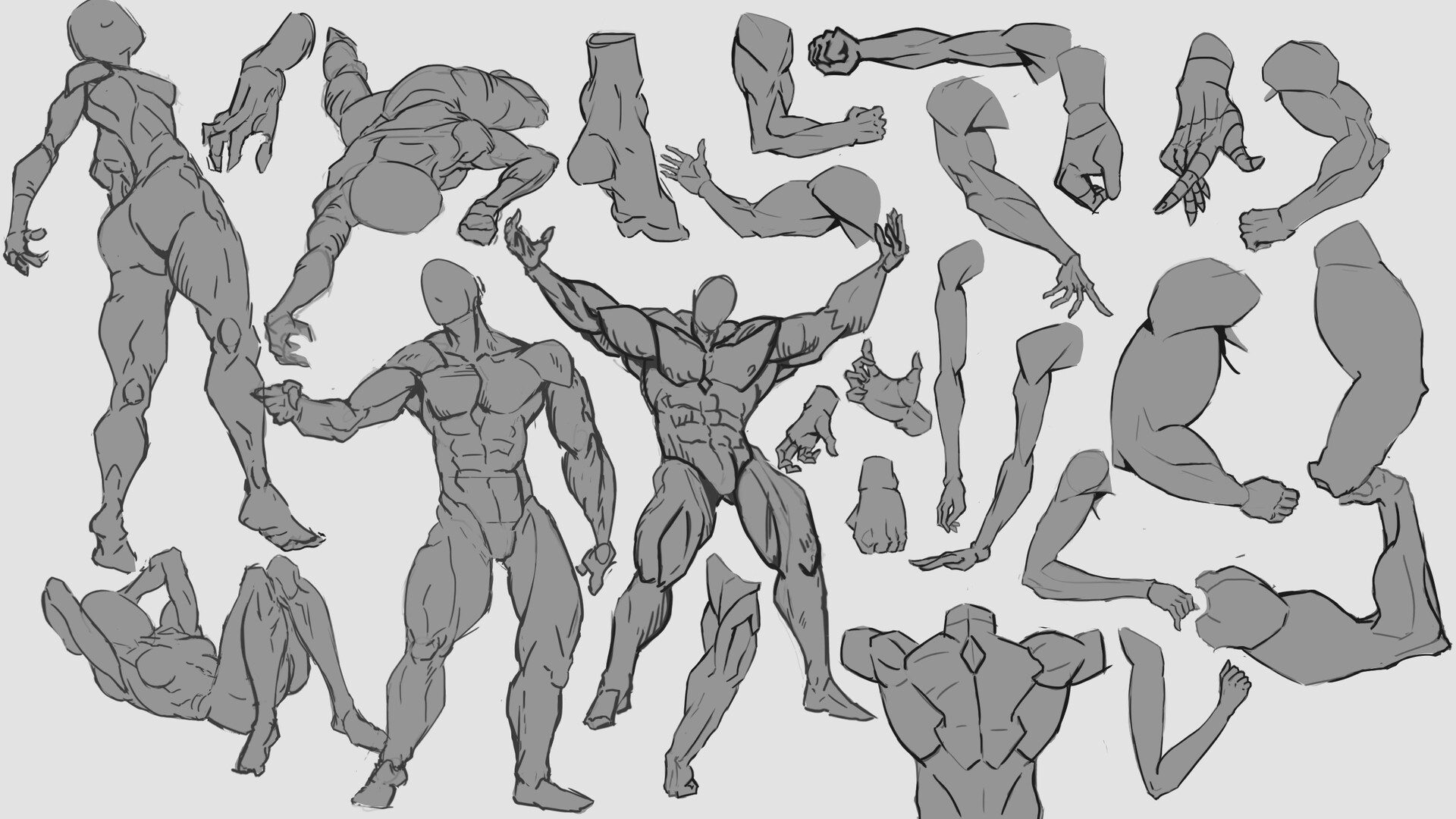 ArtStation - Anatomy studies