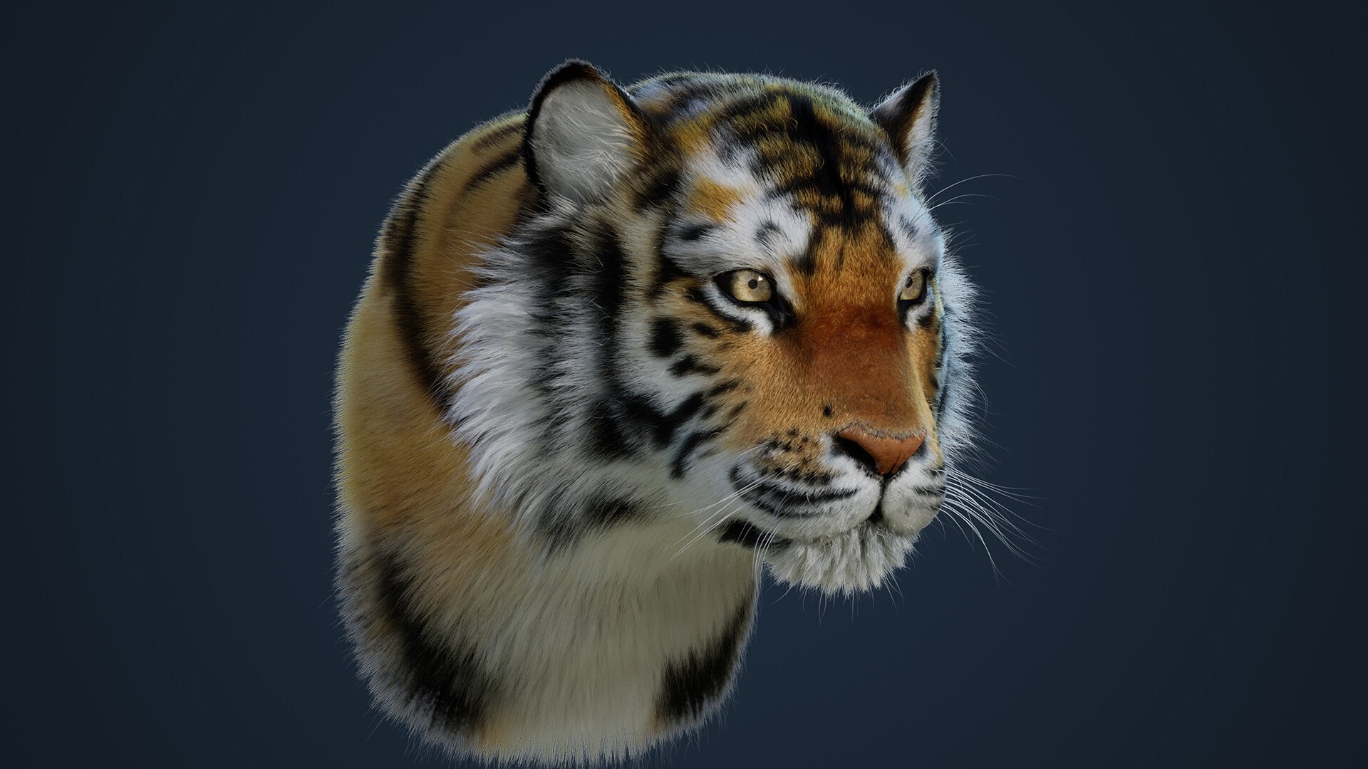 ArtStation - tiger
