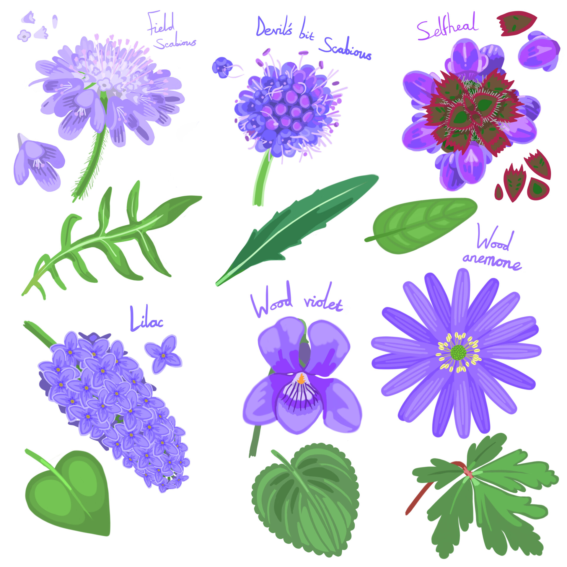 ArtStation - Cel Shaded Flowers