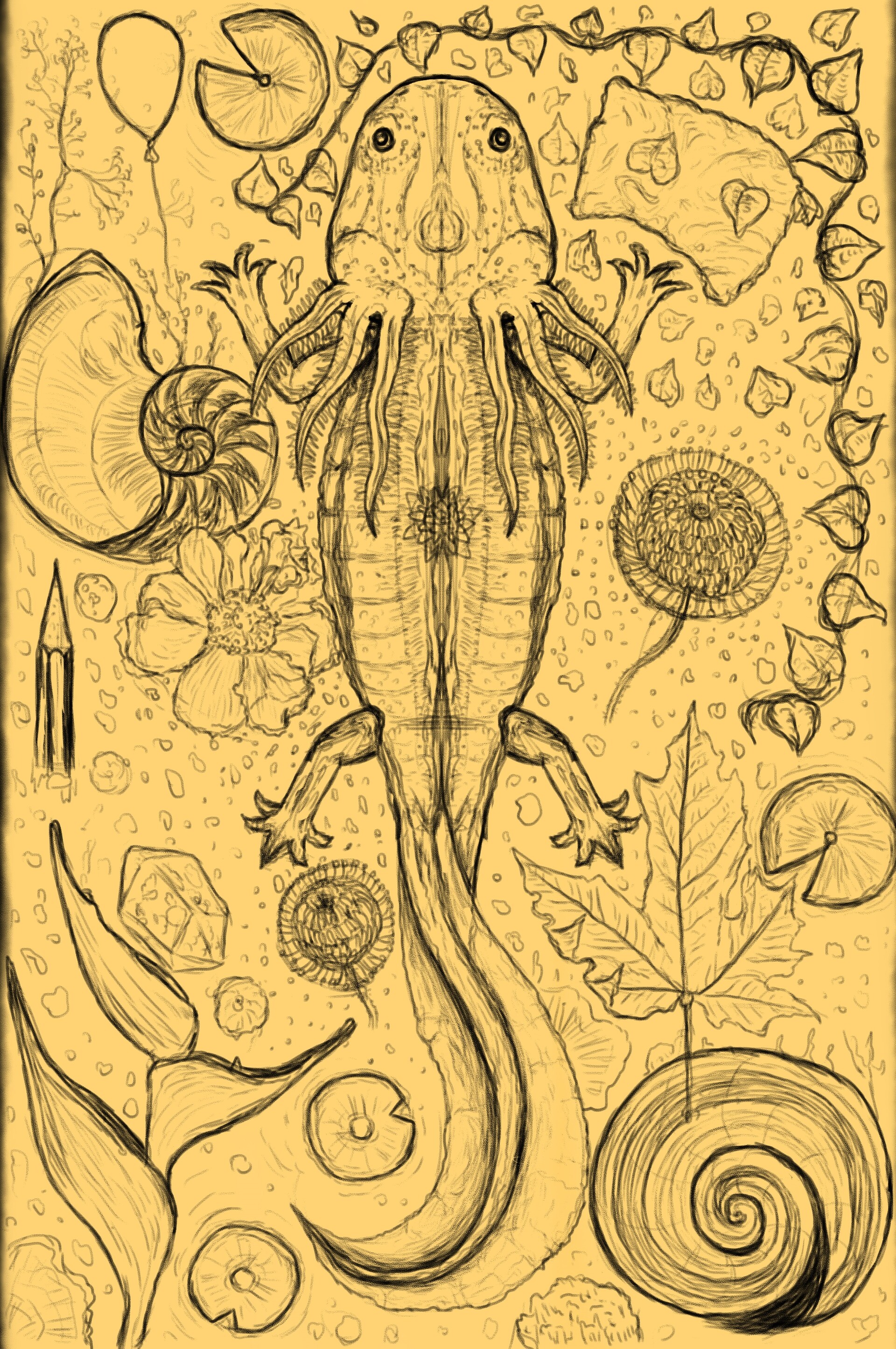 ArtStation - Axolotl