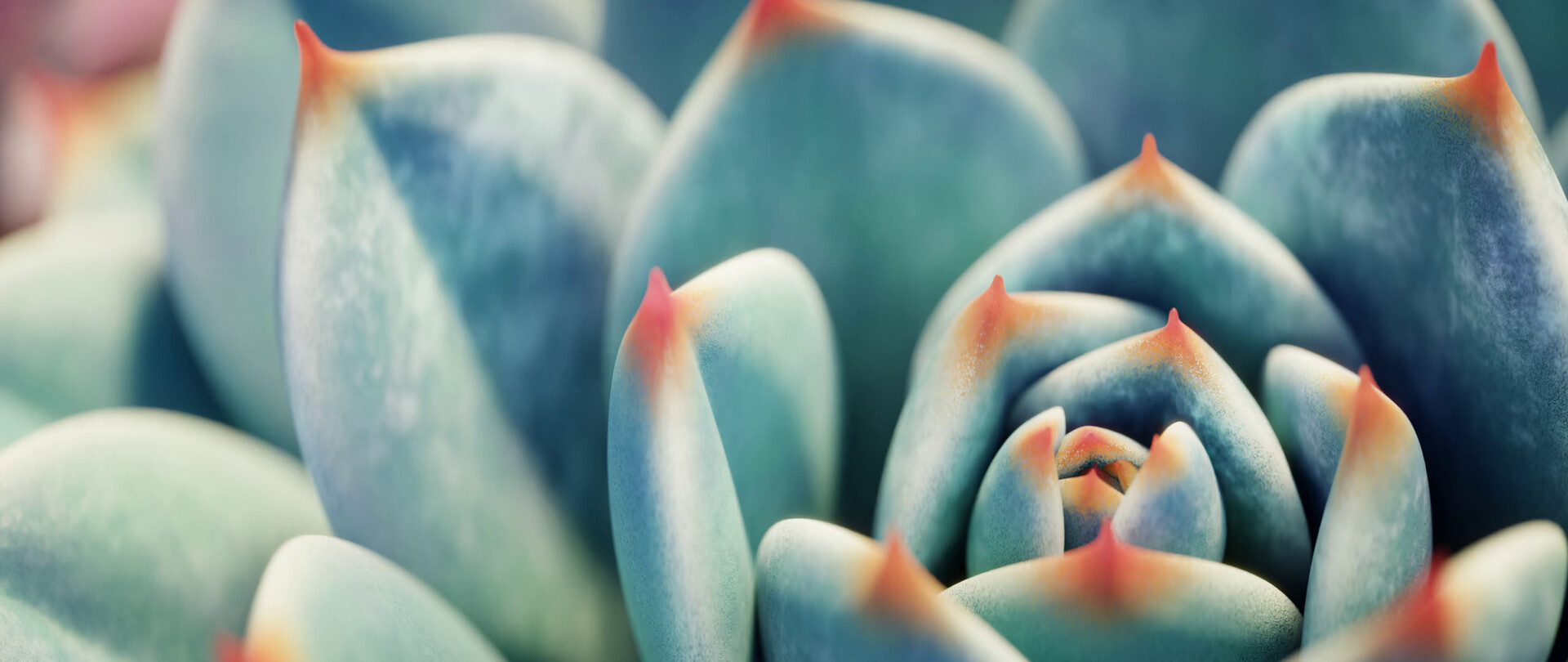 Felipe Del Rio - Fértil - Animated Short Film