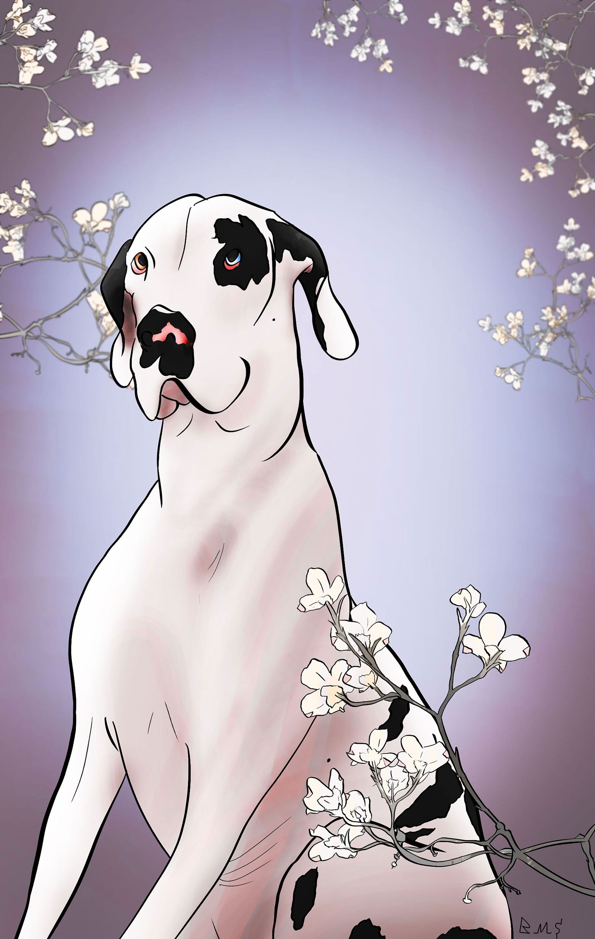 Bobby Shields - Love you, Noona