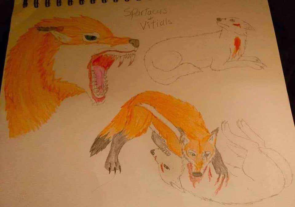 ArtStation - Spartacus Fighting White Wolf, Vitalis