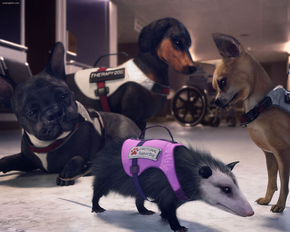 ArtStation - Emotional Support Opossum
