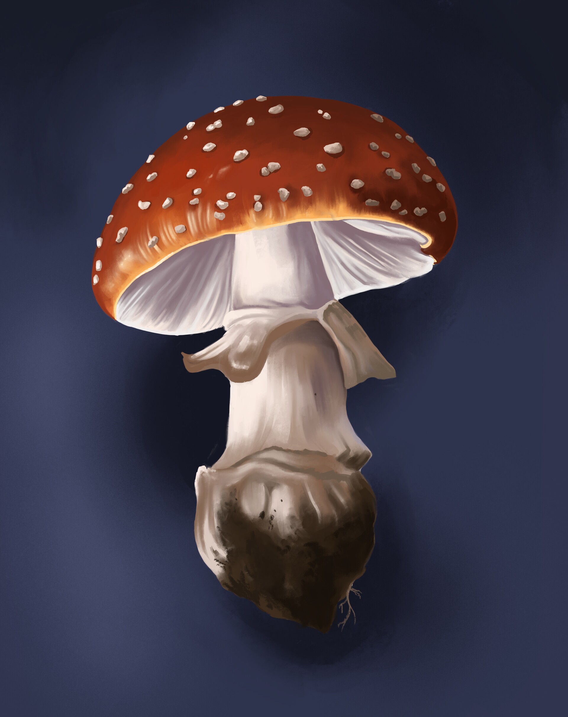 ArtStation - Botany Studies