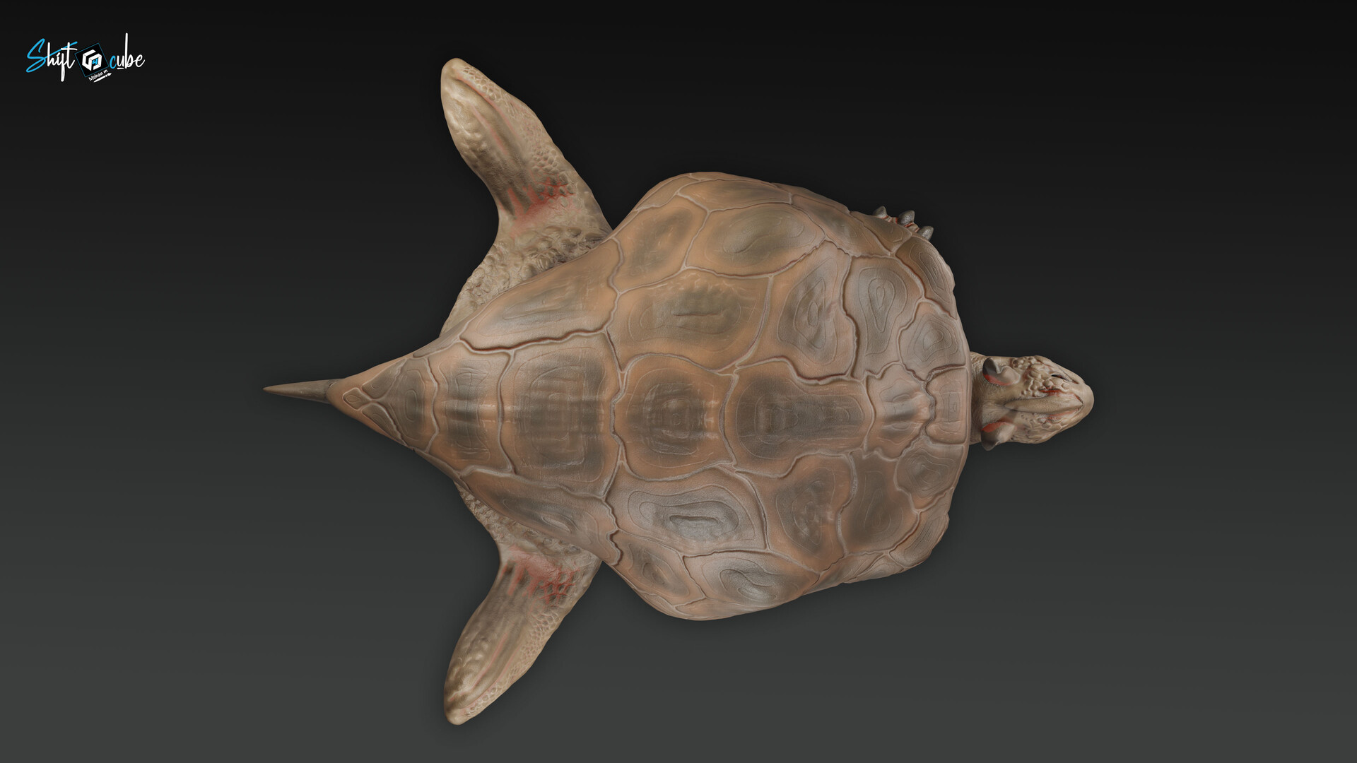 Mohan M - Giant Lava Tortoise - Photoshop Manipulation Speed Art Tutorial