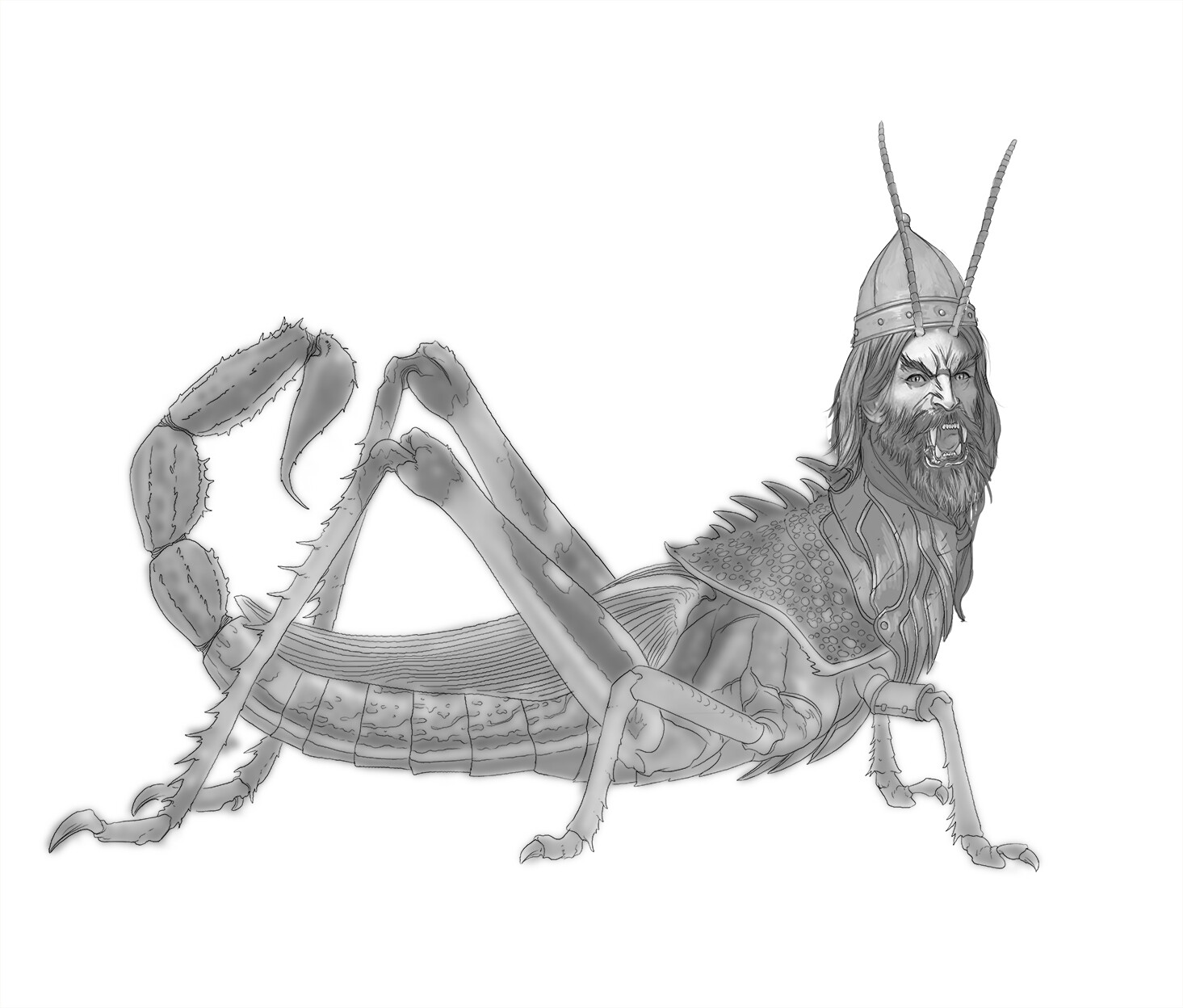 Nicolas Peña - Amisgaudi - Locust commission.