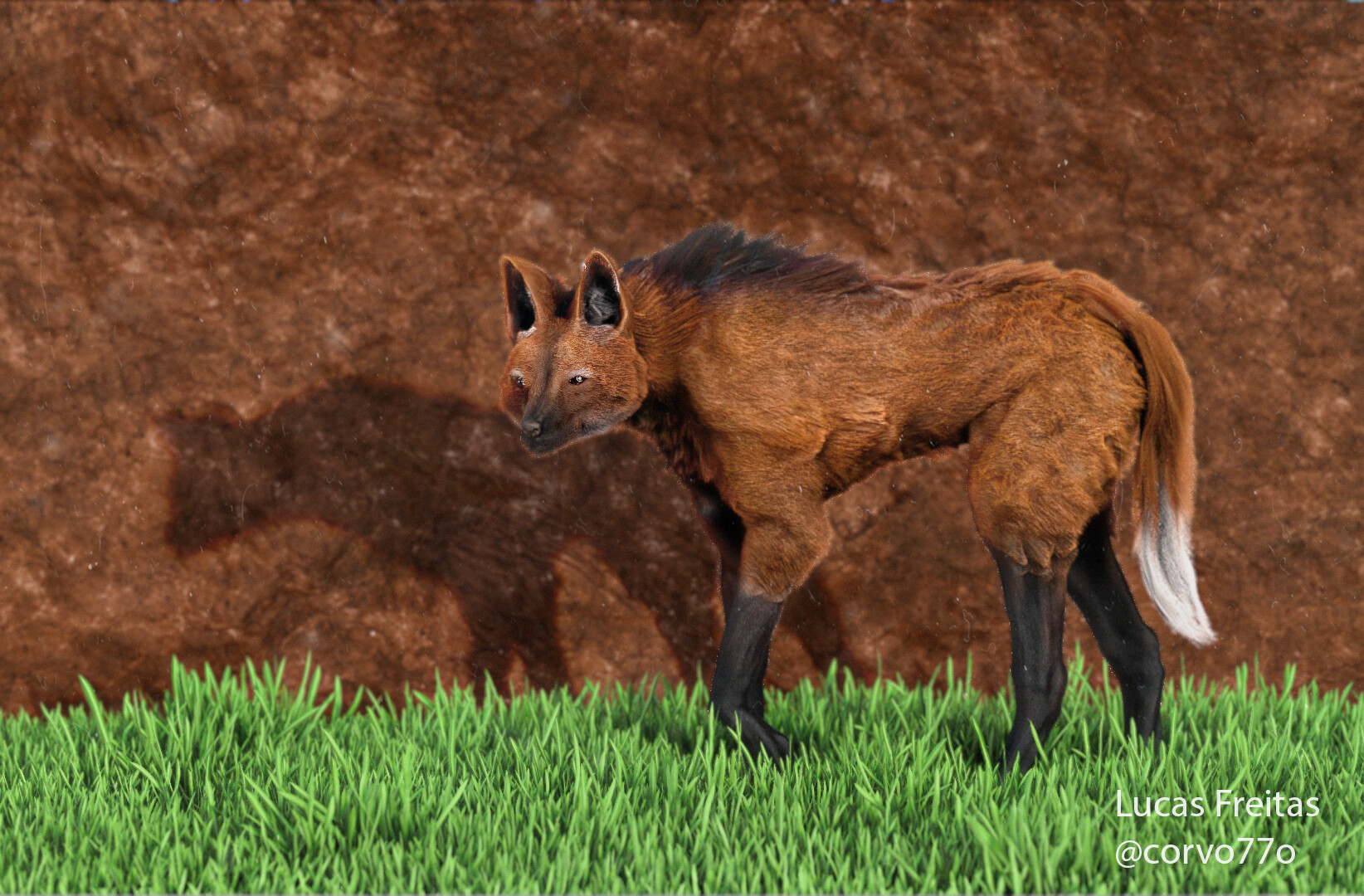 ArtStation - Maned Wolf