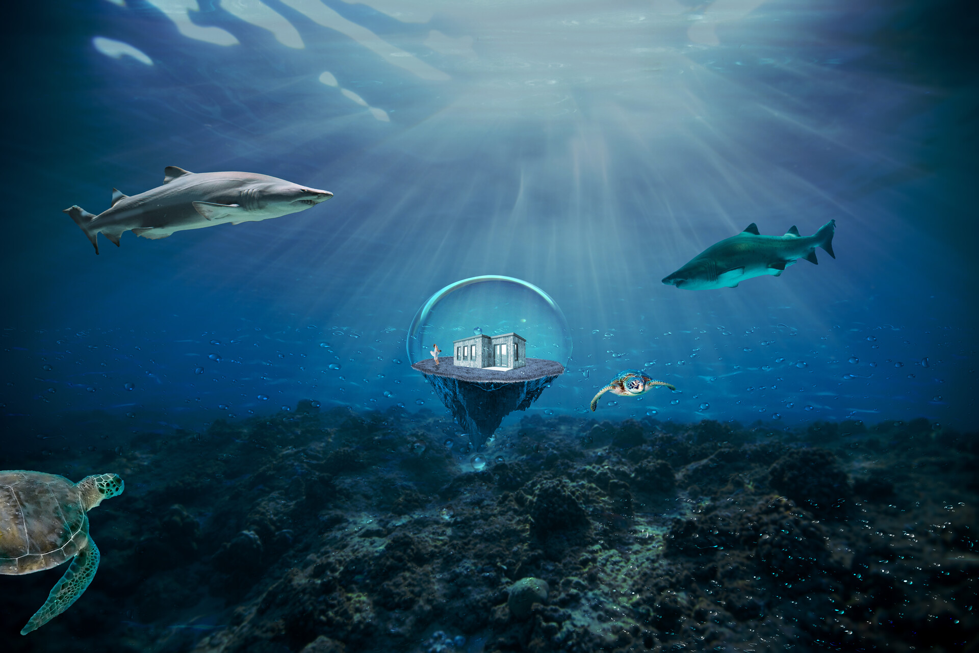 ArtStation - Composition