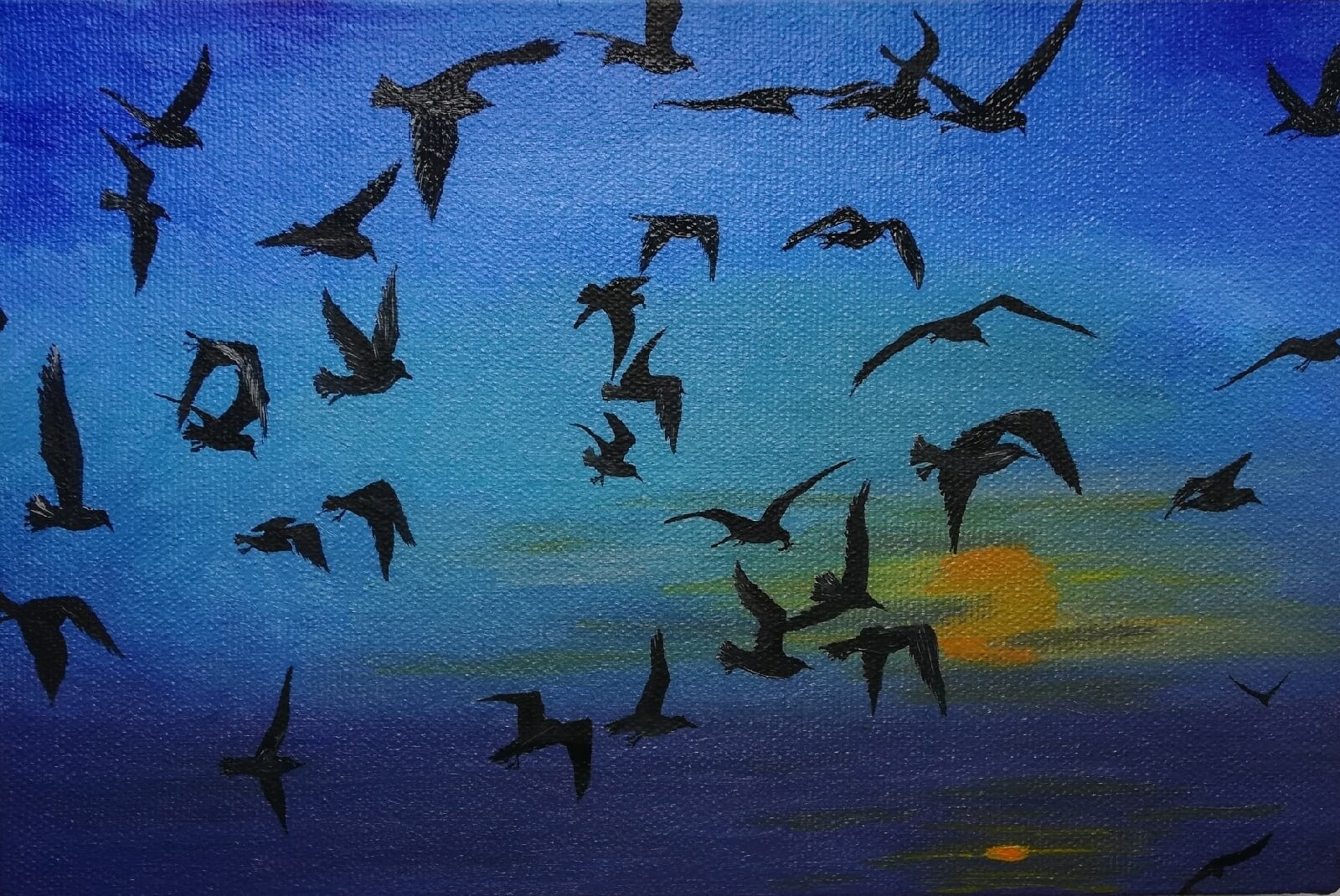 ArtStation - Sea birds