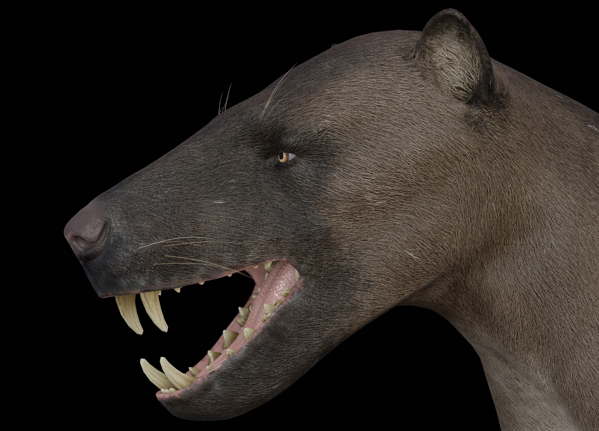 ArtStation - Hyaenodon