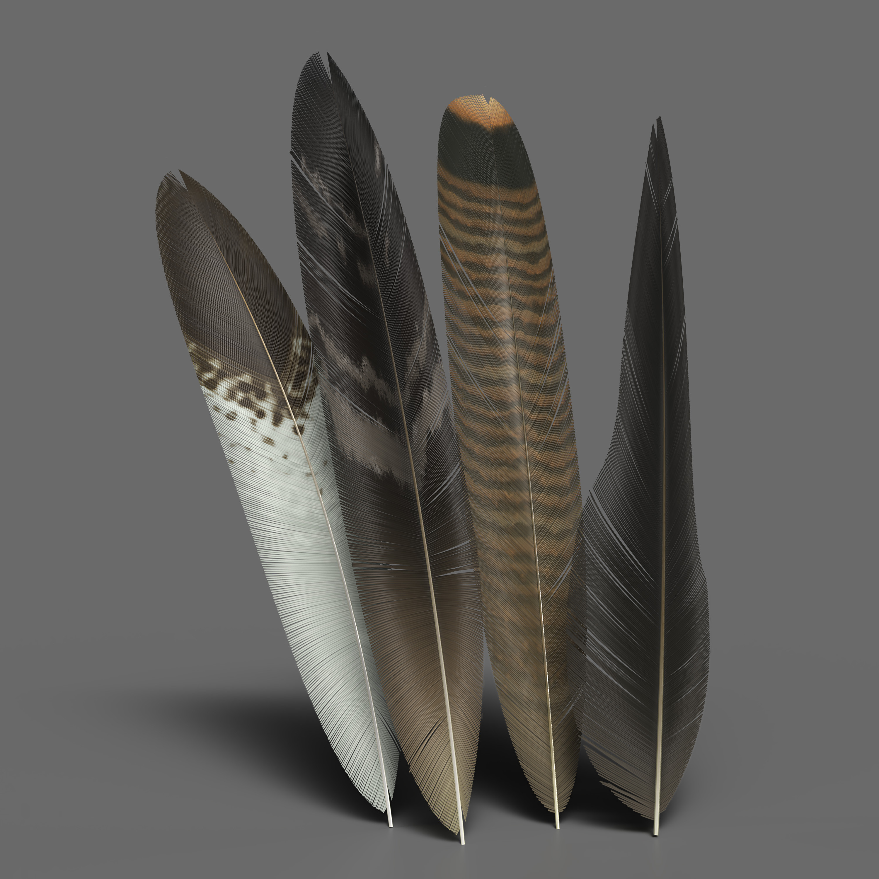 Laurens C. - Winged Allegory