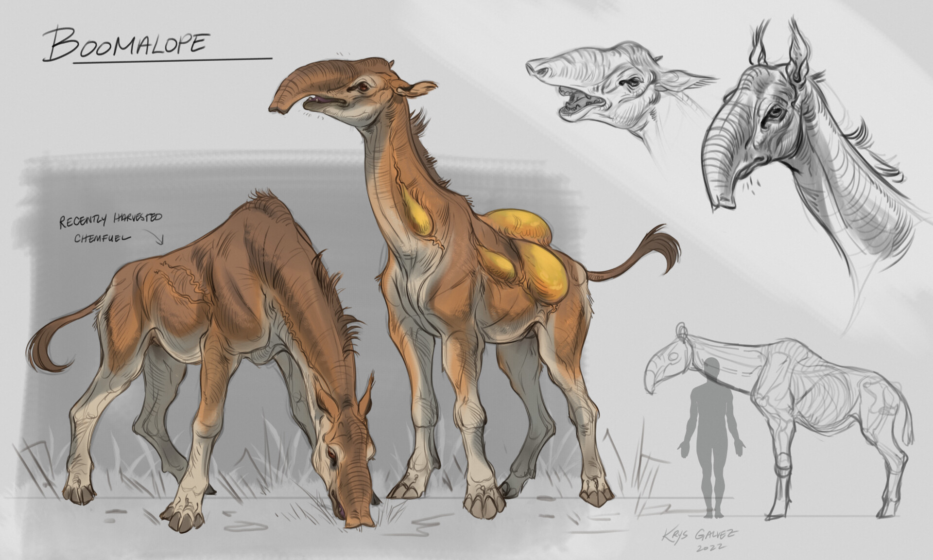 ArtStation - RimWorld: Boomalope