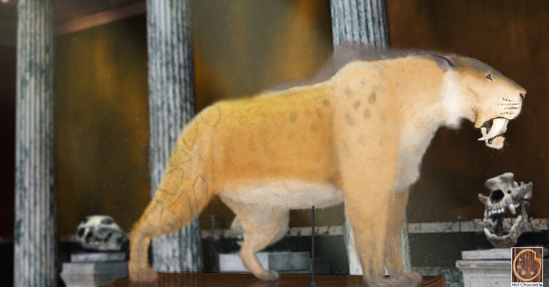 ArtStation - Hot Chocolate Studios