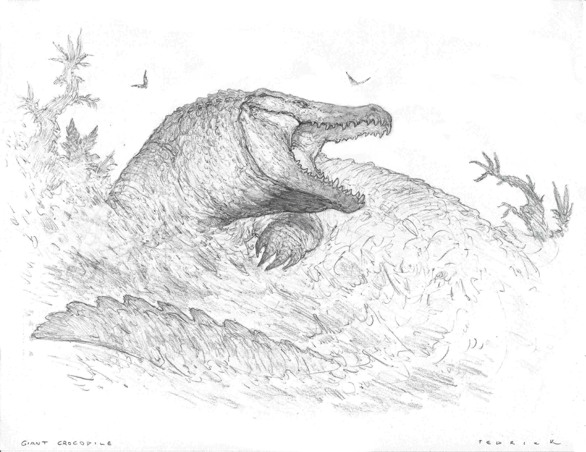 Giant Croc byJohn Tedrick : r/ImaginaryLeviathans