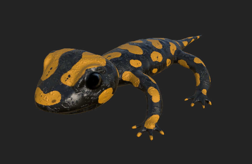 ArtStation - 3D Salamander