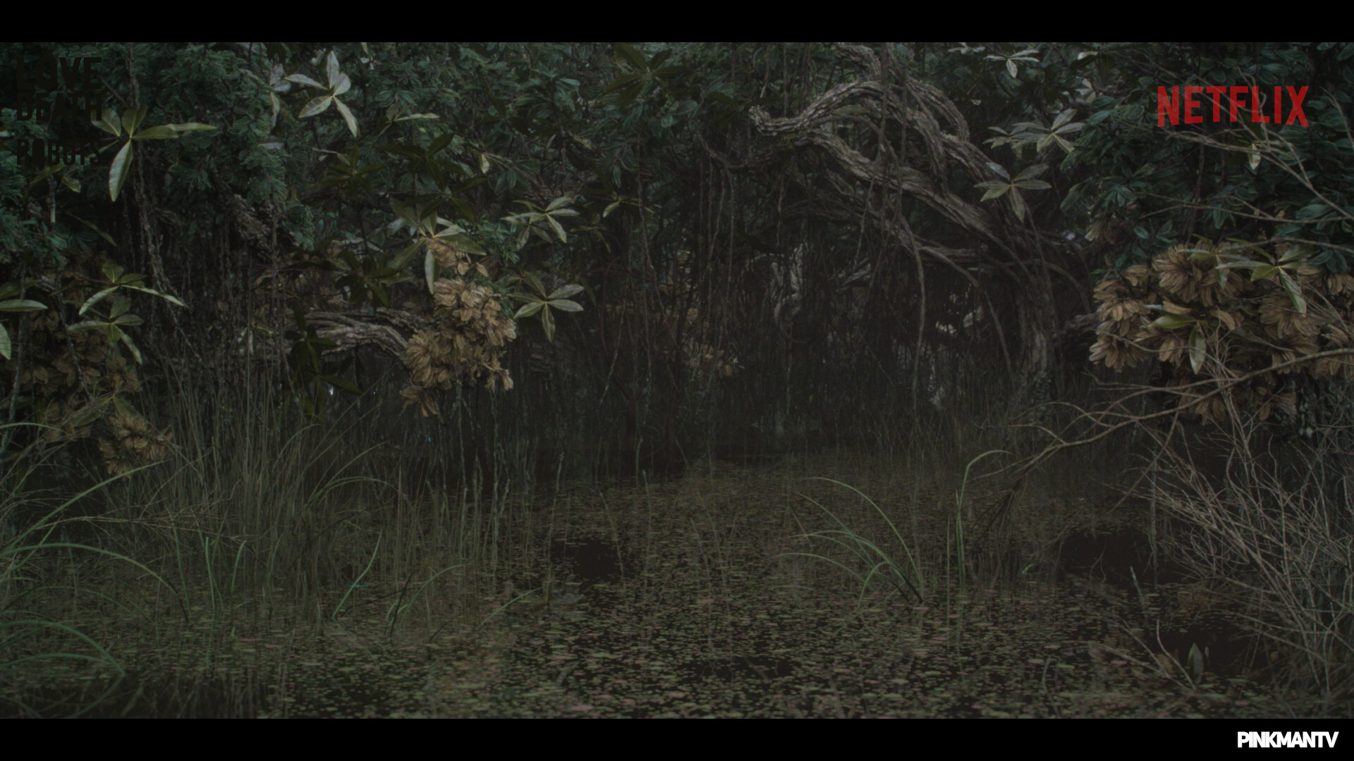 Ismael Marquez - Jibaro environments