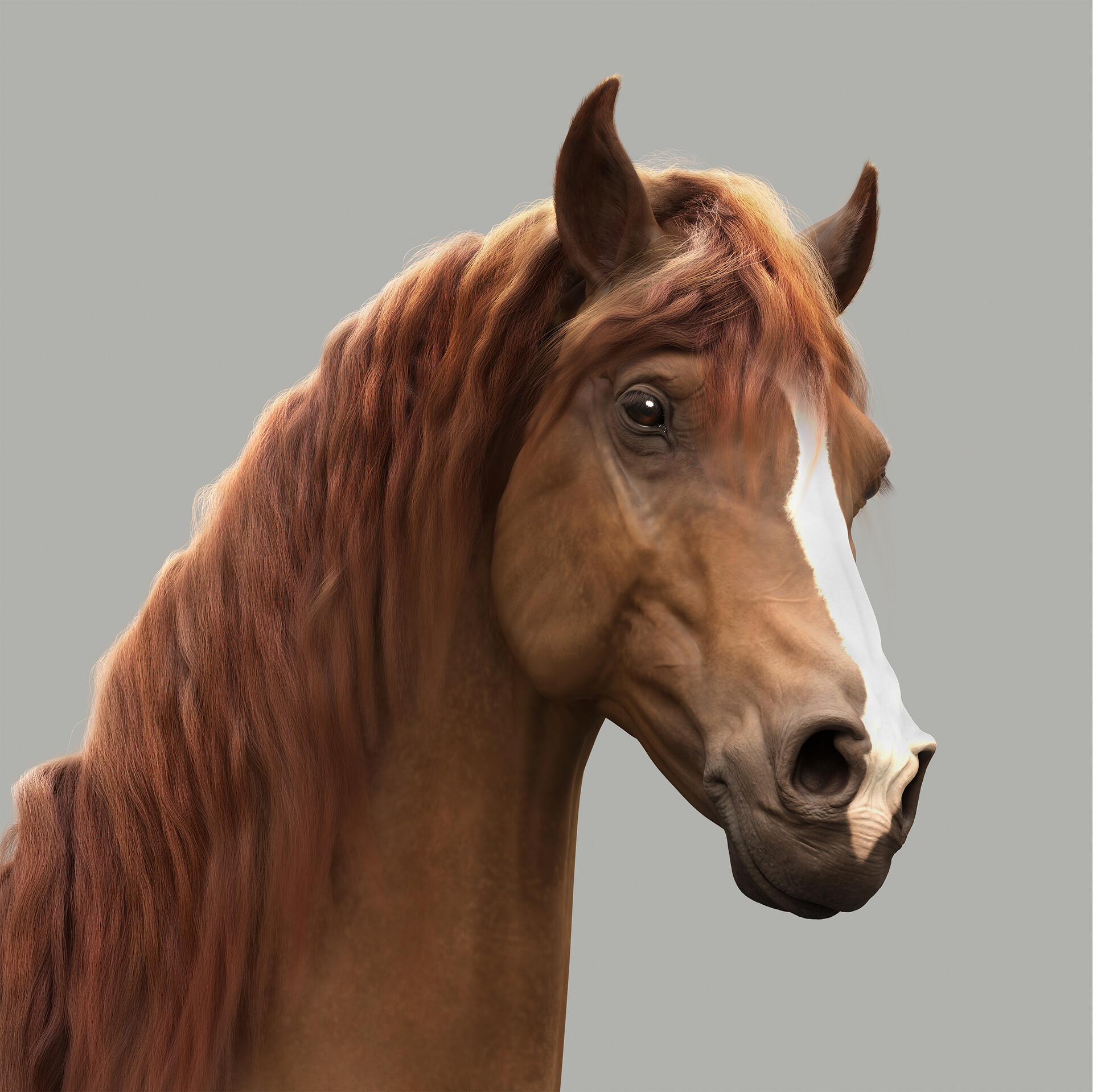 ArtStation - Realistic horse study