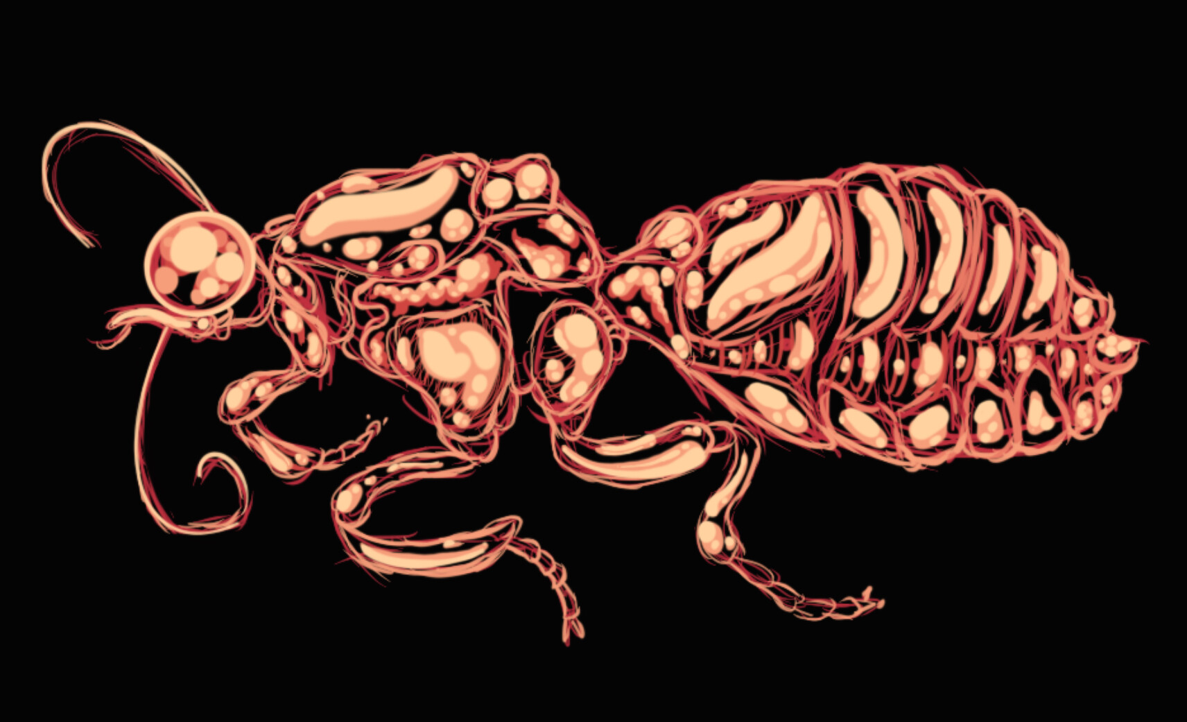 ArtStation - Bug Study