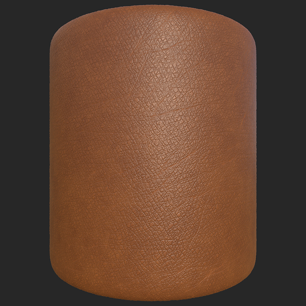 TextureCan - Calf Leather (FREE PBR Texture)