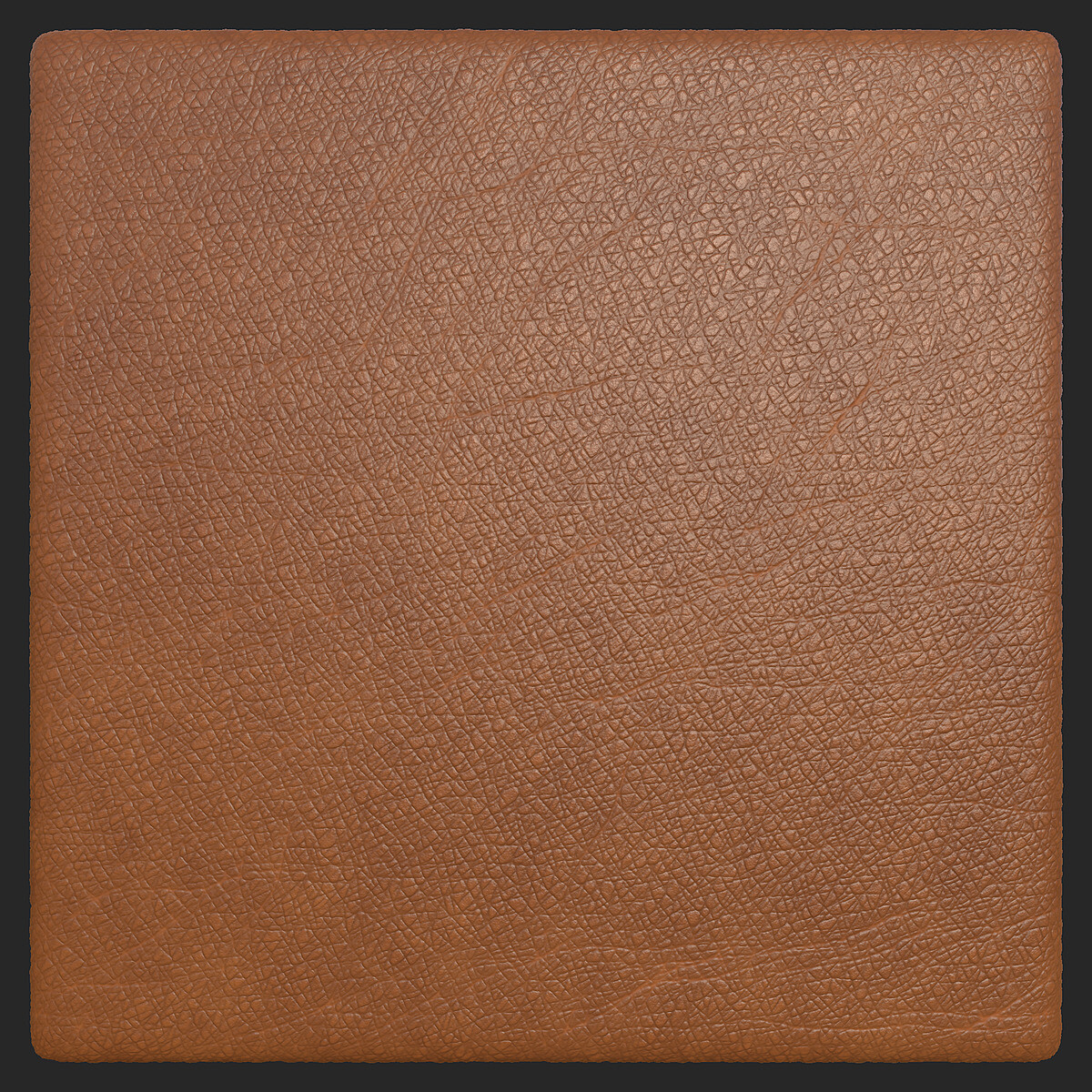 TextureCan - Calf Leather (FREE PBR Texture)
