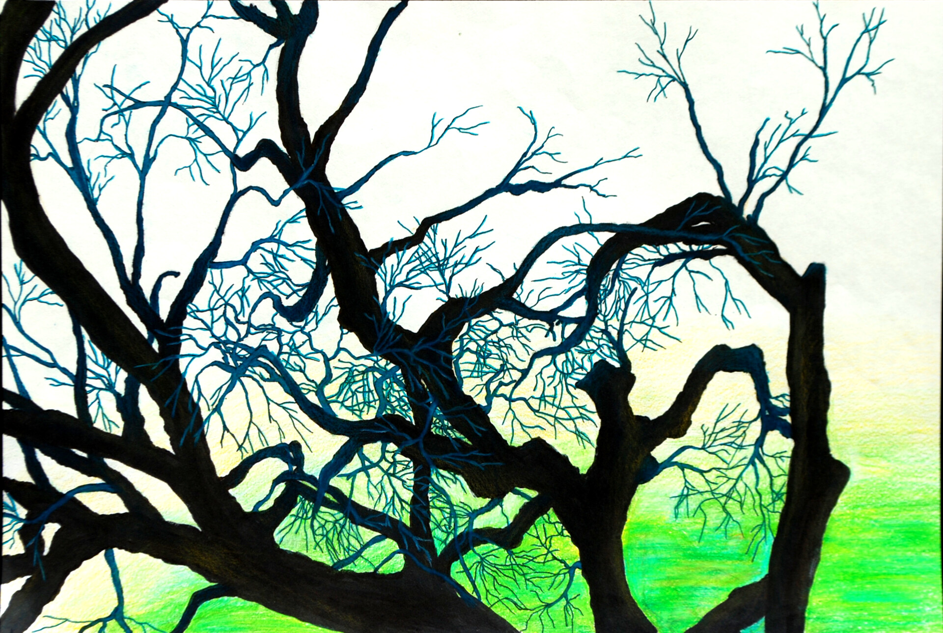 ArtStation - Branches