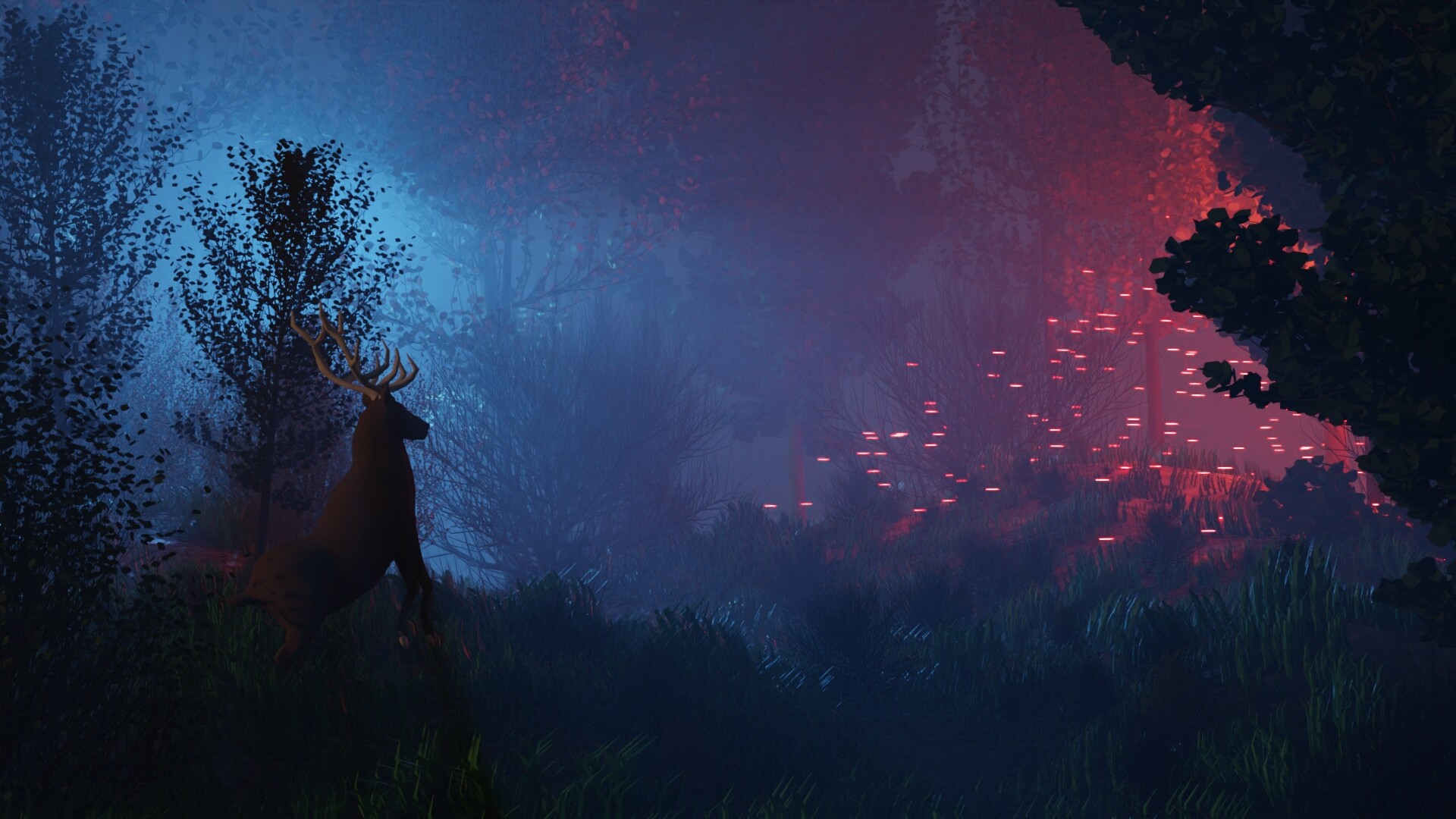 ArtStation - ForestNight