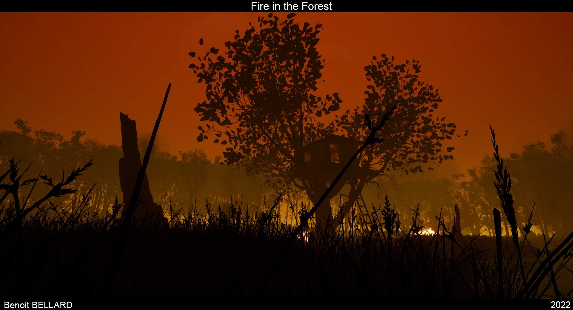 ArtStation - Fire in the Forest UE5