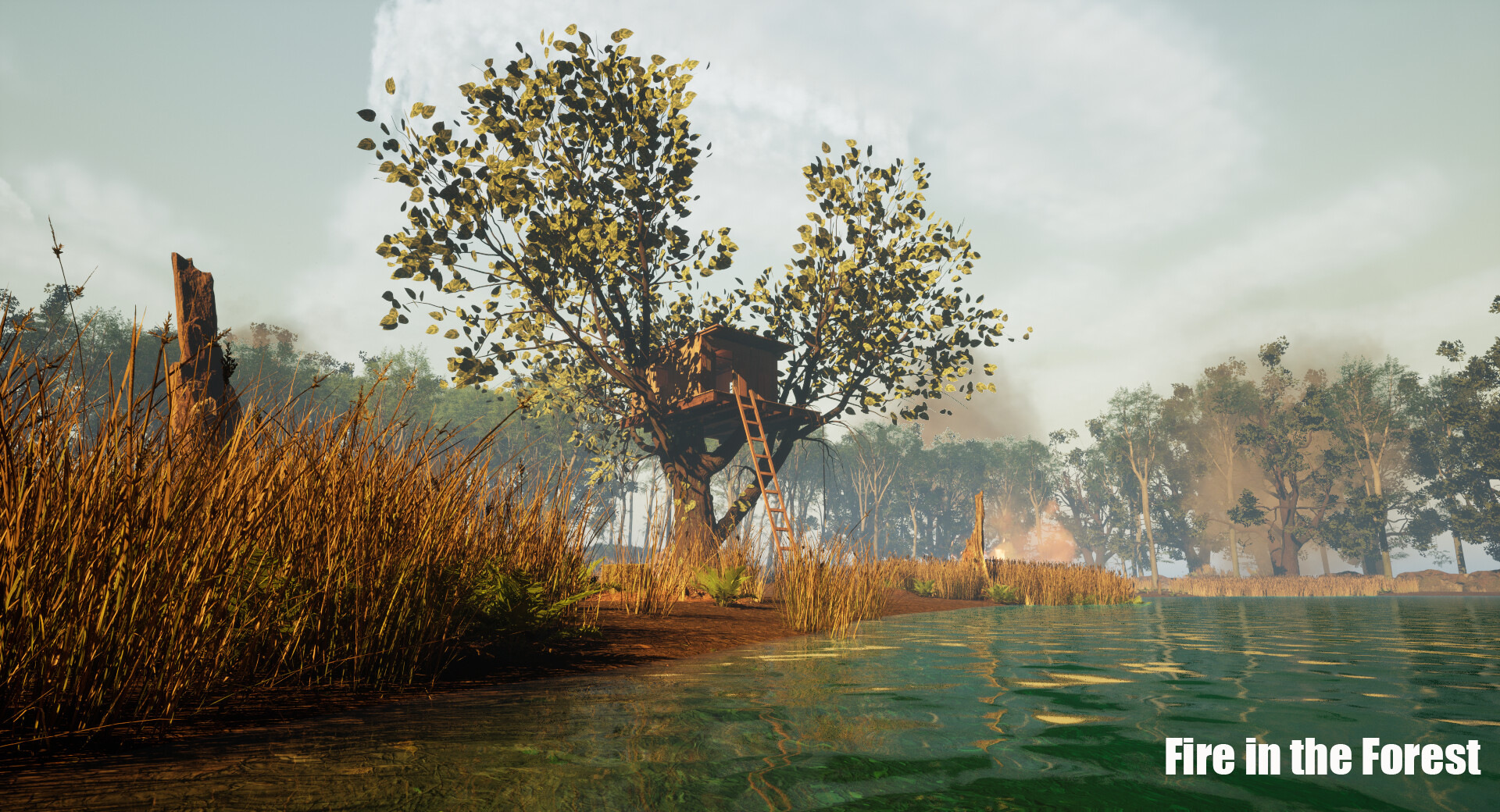 ArtStation - Fire in the Forest UE5