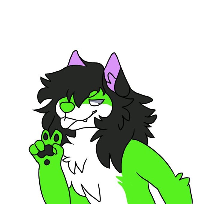 Creator Nori - Creator Nori
